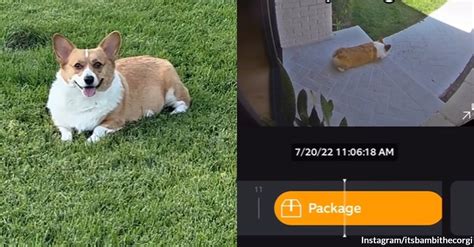 Co One On Linkedin Ai Machinelearning Objectdetection