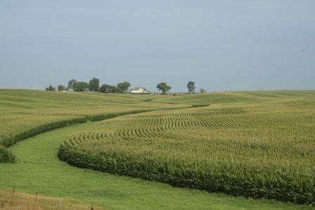 Iowa Cornfields Agriculture Stunning Landscape View