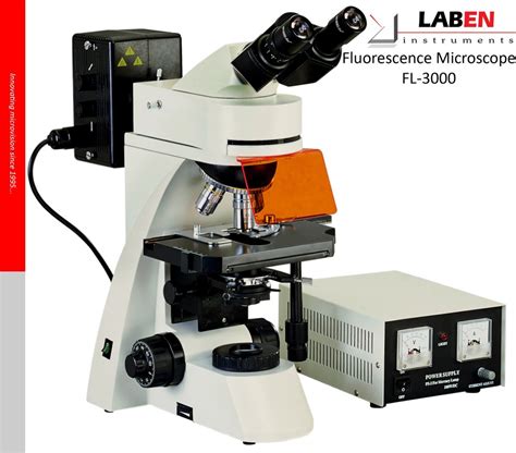 Fluorescence Microscope At Best Price In Bengaluru By Meridian Inc Id 13749009955