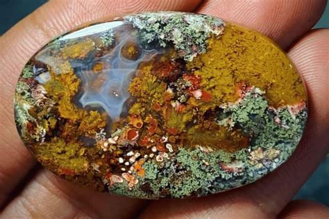 On The Hunt For Moss Agate A Few Key Us Locations To Explore Rock Seeker