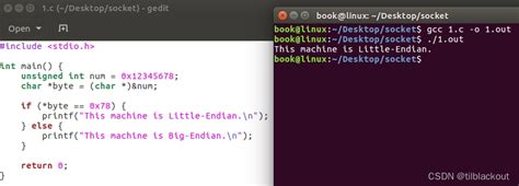 Linux Socket编程1套接字、字节序和地址结构体 Csdn博客