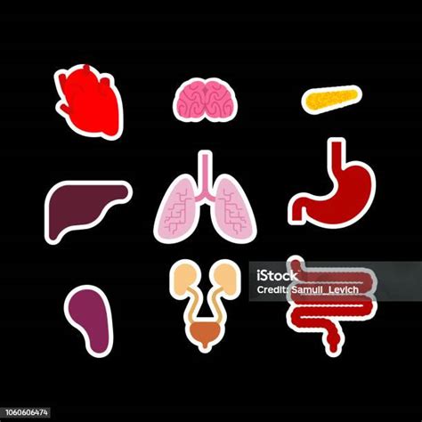 인체 해부학 장기 내부 설정 합니다 심 혼 및 두뇌 간 위 식도 그리고 췌 장입니다 신장 그리고 비장입니다 폐입니다 인간의 신체와 장기의 시스템입니다 의료 시스템 0명에
