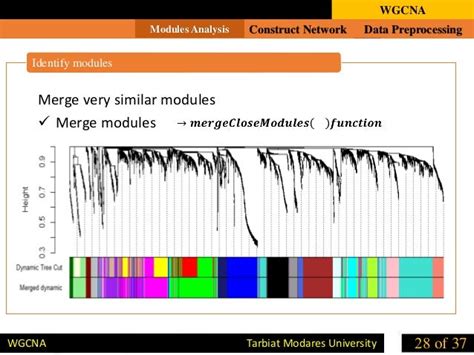 Wgcna An R Package For Weighted Correlation Network Analysis