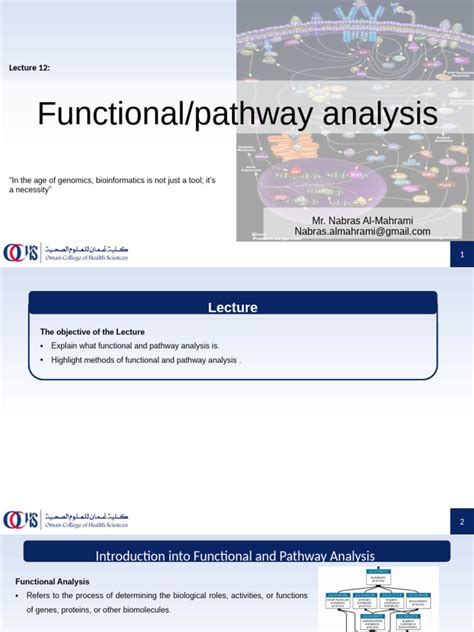 Lecture12 Functional Pathway Analysis Pdf Metabolic Pathway Cell Signaling