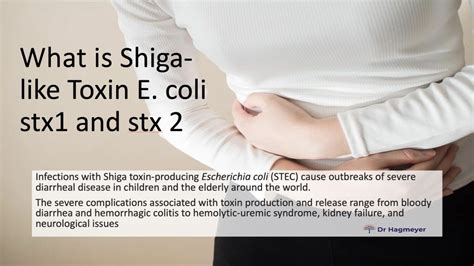 Shiga Toxin Producing E Coli Stec Infections Lab Tests Explained Dr Hagmeyer