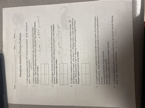 Mendelian Genetics Practice Problems