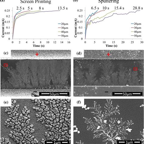 Microstructure Evolution Of Silver Dendrites Growth Between The Anode
