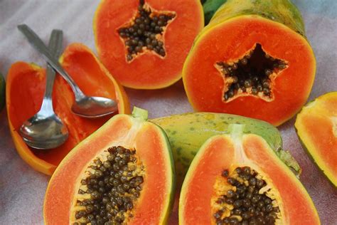 Kiat Memperpanjang Masa Simpan Buah Pepaya Trubus