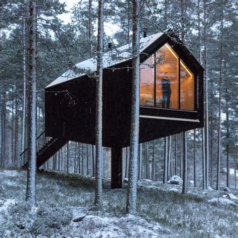 Daab Design Clads Pine Nut Cabane With Scorched Pine Wood
