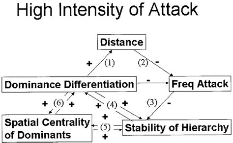 summary of spatial social structuring among artificial individuals for