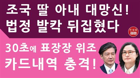 법정서 표창장 위조 재연 조국 아내 딸 얼굴 못 든다 딸 카드도 충격 진성호의 융단폭격 Youtube