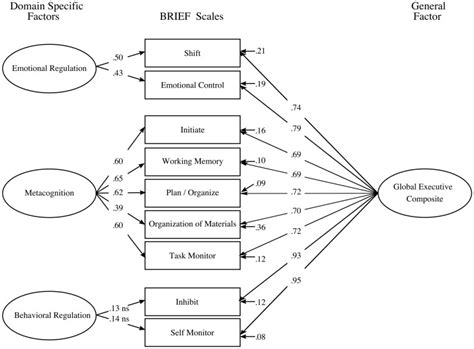 Diagram Of The Bifactor Structure Underlying The Brief Scales