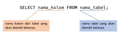Statement Select Sql Untuk Portfolio Data Analyst