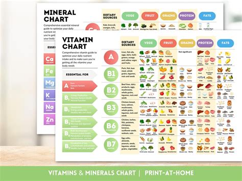 Vitamins And Minerals Chart Bundle Healthy Eating Reference Guide Essential Nutrients Chart