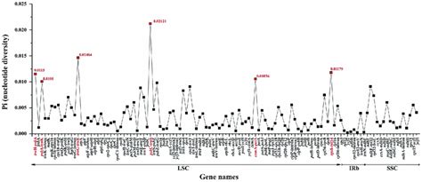 Comparative Analysis Of The Nucleotide Variability Pi Values Within Download Scientific