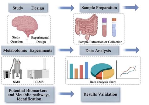 The Methodology Of Metabolomics Download Scientific Diagram
