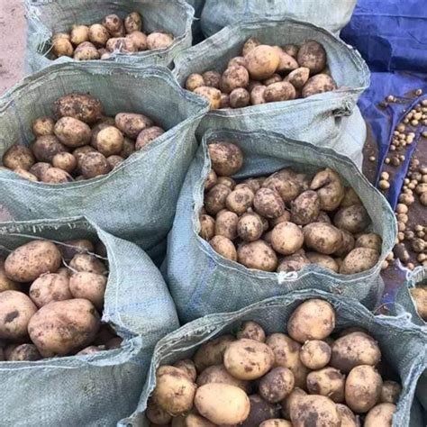 Хүнсний ногоо сүү цагаан идээ мал мах худалдаа авна зарна