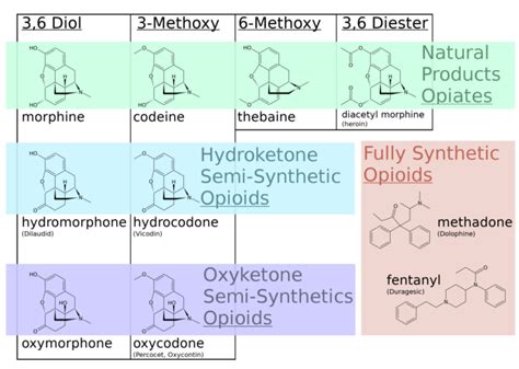 Opioids Basics Openanesthesia