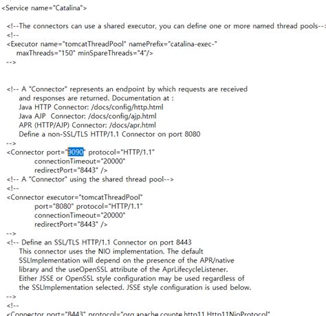 Spring Tomcat Server를 이용한 수동배포하기
