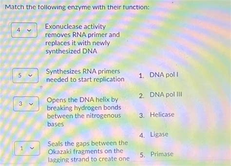 Solved Match The Following Enzyme With Their Function 4