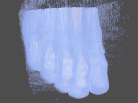 GitHub Twinklebear Webgpu Volume Raycaster