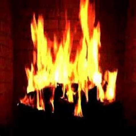 Forest Fire Detection Object Detection Model By Skripsi