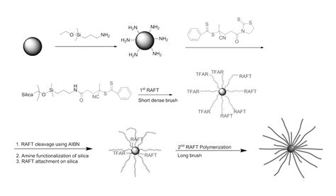 Nanoparticles With Multiple Attached Polymer Assemblies And Use Thereof