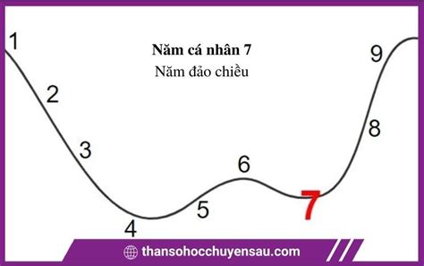 Năm Cá Nhân Số 7 Trong Thần Số Học Redon Land