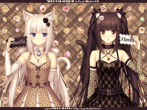 Girls Black Hair Blue Eyes Blush Brown Hair Catgirl Collar