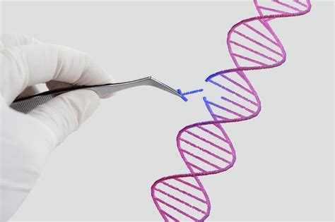 DNA Sequencing Market Market Dynamics And Opportunities DataM Intelligence