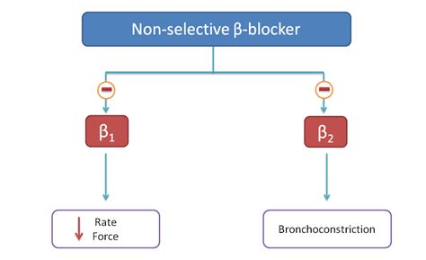How Nebivolol Produces Vasodilatation Even It Is A Beta Blocker