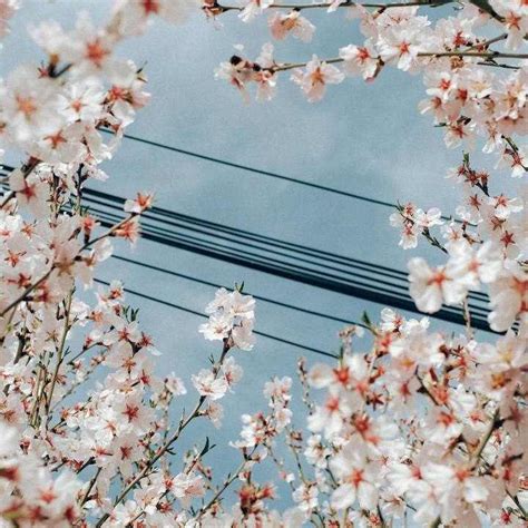 دانلود جدید ترین ریمیکس های ایرانی و خارجی بیس دار آهنگ ایرانی