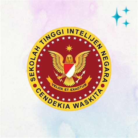 Sekolah Tinggi Intelijen Negara Stin Santri Hub