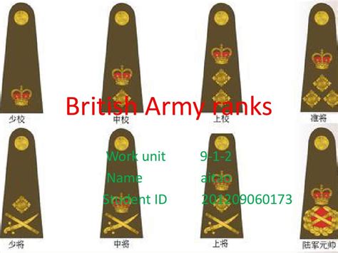 Army Ranks By Age At James Kettler Blog