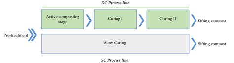 Functional Scheme Of The Phases Of Maturation Dc And Sc Sc Static Download Scientific Diagram
