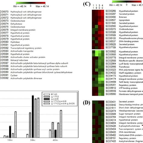 A Microarray Analysis Of The Gene Expression Pattern Of The Act A Microarray Analysis Of The Gene Expression Pattern Of The Act