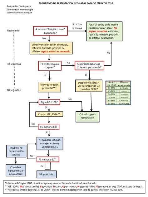 Algoritmo Rcp Neonatal Pdf Reanimación Cardiopulmonar Corazón