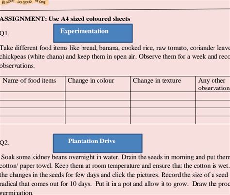 Assignment Use A4 Sized Coloured Sheets Q1 Studyx