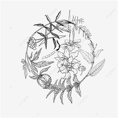 무늬 테두리 일러스트 디자인 요소 도안 무늬 텍스처 테두리 틀 Png 일러스트 및 Psd 이미지 무료 다운로드 Pngtree