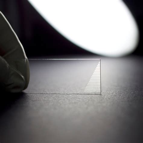 上海交大实现最大规模光量子计算芯片