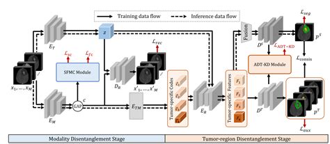 D2 Net Dual Disentanglement Network For Braintumor Segmentation With