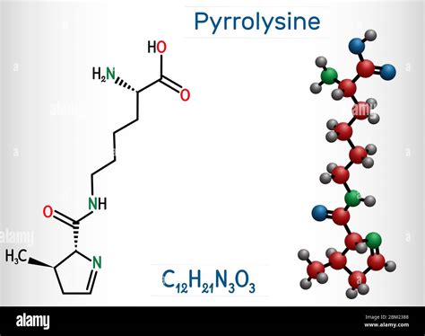 Protein Structural Formula Protein Structural Chemical Formula And