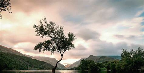 Climate Variables Livingearth