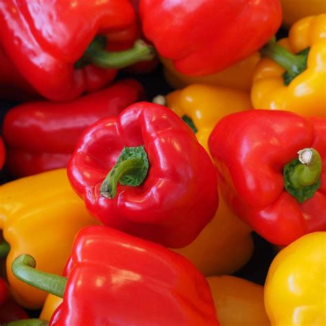 [산정마을] 국내산 못난이 파프리카 2kg 홈플러스 택배배송