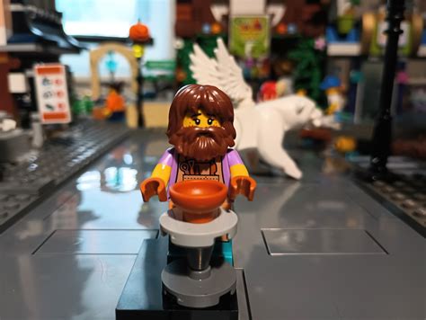 Any Hairy Potter Fans Out There Rlego