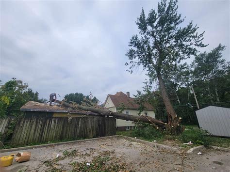 Winter Tree Services And The Benefits Of Trees Voss Land And Tree