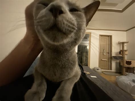 Ros Robot Operating System 설치 가이드