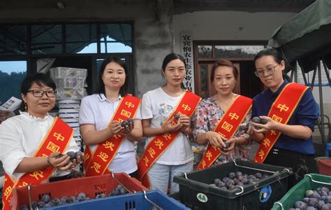 宜宾市保险行业协会开展乡村振兴暖民心主题活动 茵红 村民 韩春艳