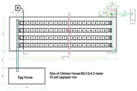 Chicken House Design Of 45000 Layers Livi