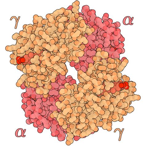 Bio Art Blender Superhive Formerly Blender Market